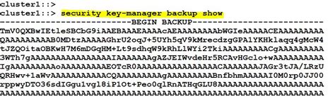Remote Infrastructure Management Netapp Storage Encryption Nse Nae