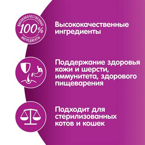 Влажный корм для кошек Рагу Whiskas индейка и кролик 75 г купить в интернет магазине Fix