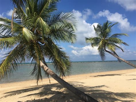 Екскурзия до ШРИ ЛАНКА островът като сълза богат на дива природа и останки от ранни