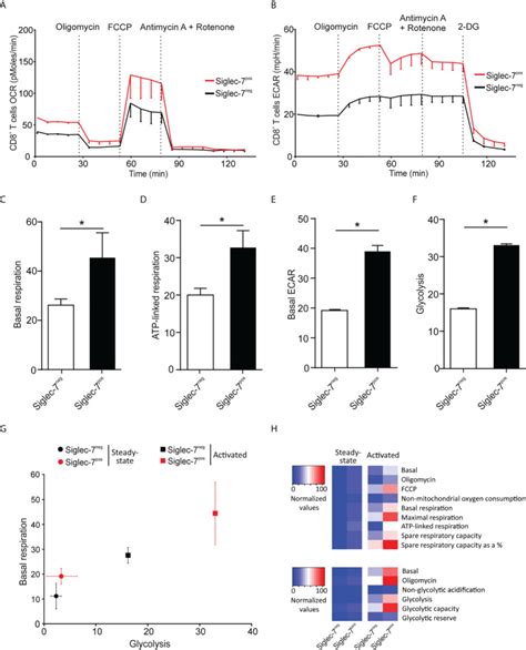 Siglec 7 Represents A Glyco Immune Checkpoint For Non Exhausted Effector Memory Cd8 T Cells