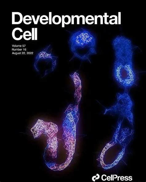 期刊推荐 发育生物学 知乎