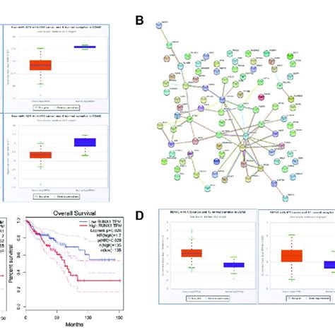 Bioinformatics Analysis And Aonstruction Of Circrna Mirna Mrna Network