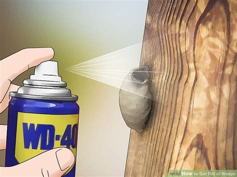 Ways To Get Rid Of Wasps WikiHow