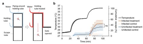 Behavioural Assay To Investigate Thermal Avoidance Behaviour Of A
