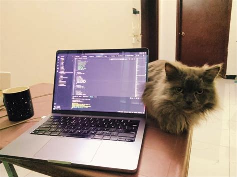 Wasim Safdar On Linkedin Cute Programming Partner