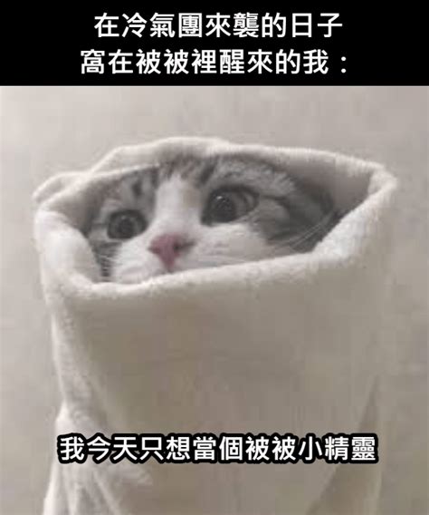 好ㄋㄥˇ嗚嗚 梗圖板 Dcard
