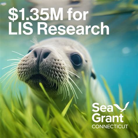 Lis Programs Funded — Stonington Fresh