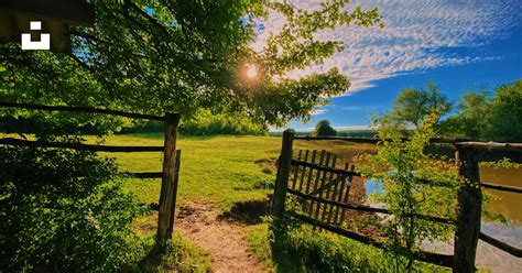 낮에는 푸른 하늘 아래 푸른 잔디밭 근처의 갈색 나무 울타리 사진 Unsplash의 무료 식물 이미지