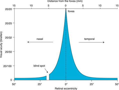 Visual Acuity As A Function Of Degrees Of Retinal Eccentricity Download Scientific Diagram