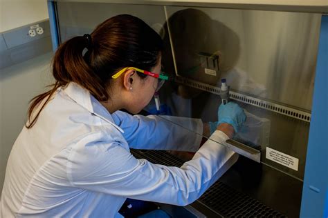 Nursing Phd Programs Nursing Phd Program