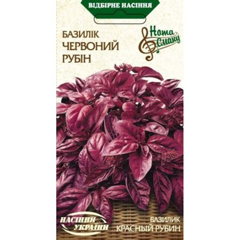 Насіння Базилік ЧЕРВОНИЙ РУБІН 0 25г Насіння України Купити Цибулини та Насіння Оптом