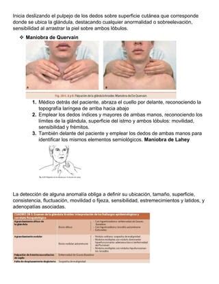 Cabeza Y Cuello Exploración Física General Pdf