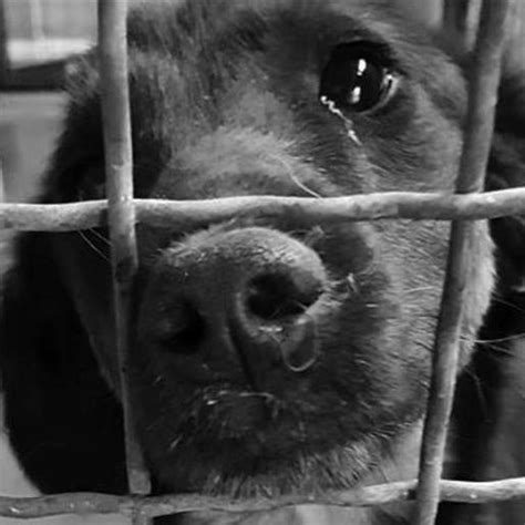 Заедно за хумано утре