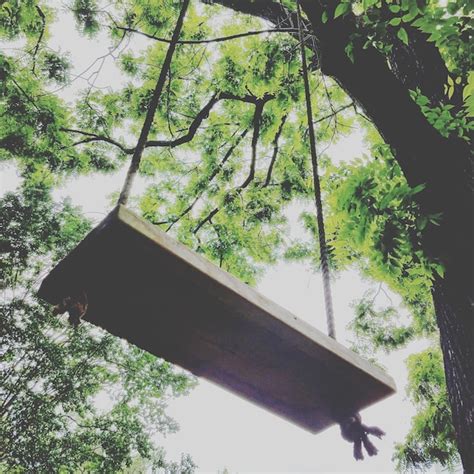 Tree Canopy Cover Images Free Download On Freepik