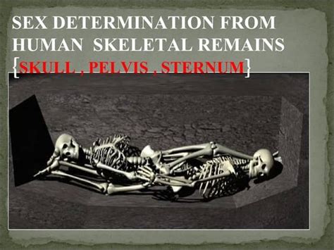 Sex Determination From Skull And Mandible Pptx
