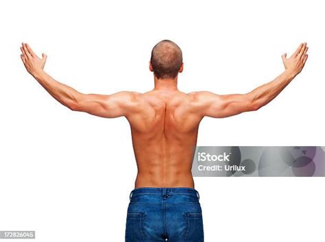 후면 젊은 남자 성과향상을 촉진하는 유연한 그릐 암 및 등근육 남자에 대한 스톡 사진 및 기타 이미지 남자 근육 사람