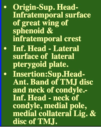 Exam 3 Infratemporal Fossa Itf Flashcards Quizlet