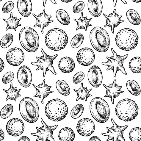 sangue células desatado padronizar mão desenhado eritrócitos leucócitos e plaquetária