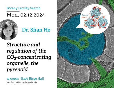 Shan He Structure And Regulation Of The Co2 Concentrating Organelle The Pyrenoid Plant