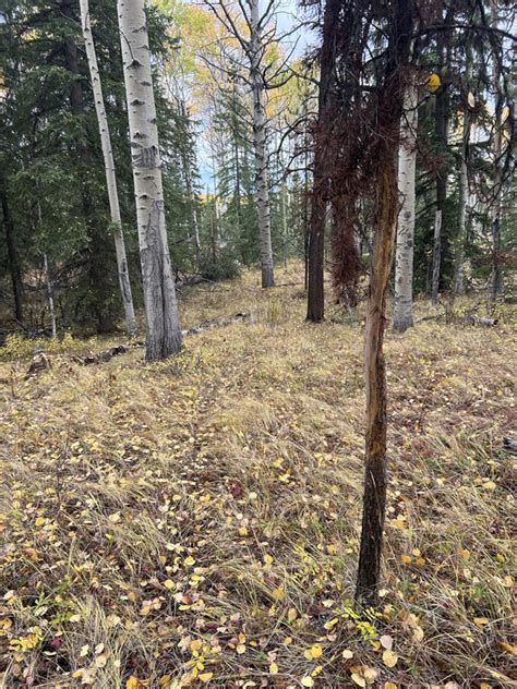 B3 Dee7 D9 2 Aa6 4 F30 9 E58 F7 Be1 C19 E8 Cb — Postimages