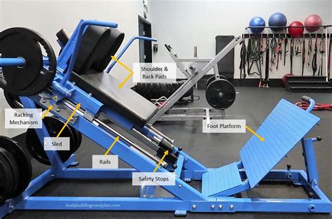 How To Properly Use The Hack Squat Machine Iluminada Bonner