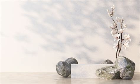 제품 프레젠테이션을 위한 최소한의 화장품 배경 회색 색상 콘크리트 벽 배경에 돌 바위와 화장품 병 연단 3d 렌더링 그림입니다 0명에 대한 스톡 사진 및 기타 이미지