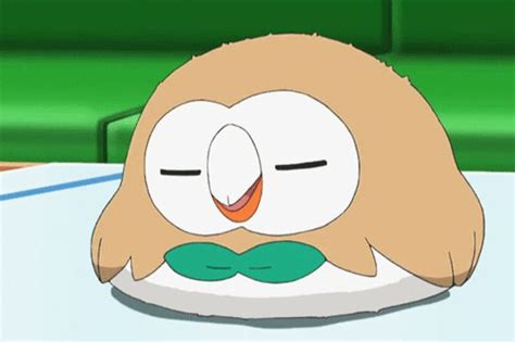 Rowlet Sleeping Pokémon Sun And Moon Pokemon Pokemon  Pokemon Sun