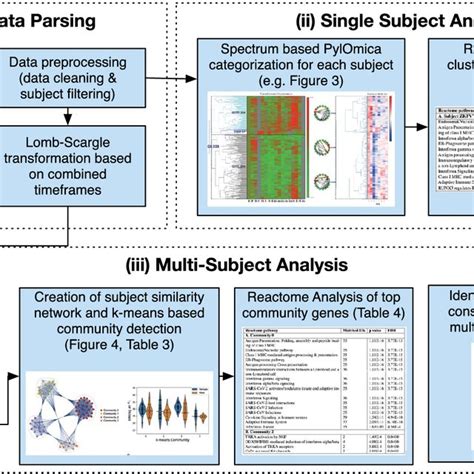 Algorithmic Flowchart Our Workflow Has Two Main Branches I Single