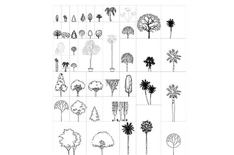 Tree Cad PNG Transparent Images Free Download Vector Files Pngtree
