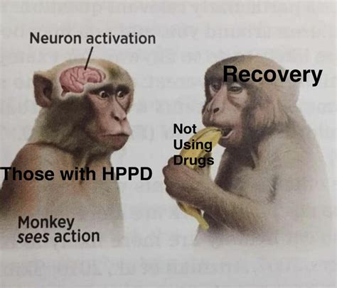 How To Recover From Hppd Visual With Diagram Rhppd