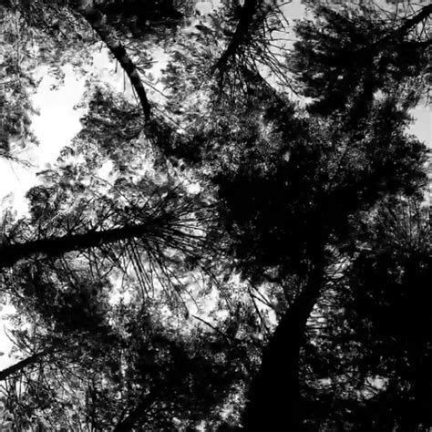 ‎stilts Feat Laura Swankey And Michael Malis Single Album By Elisa