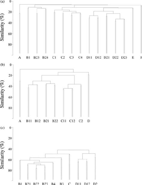 Schematic Cluster Dendrogram And Groupings Shown In Figure 5 Revealed
