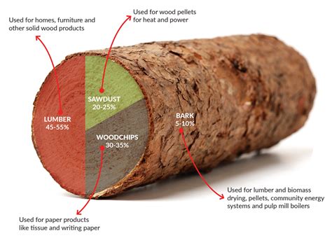 Biomass 101 Atlantica Centre For Energy