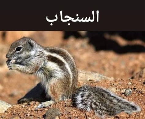 حسين رجب حسين ‎حسين رجب حسين‎ Added A New Photo