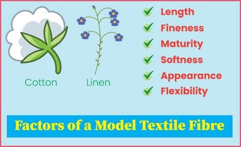 Classification Of Textile Fibres Natural And Synthetic Types Textile Apex