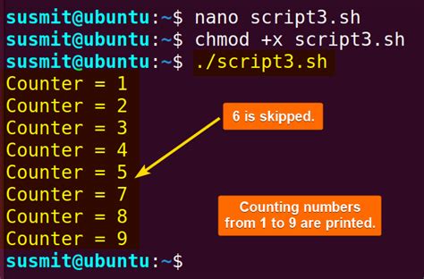 Until Loop In Bash Linuxsimply