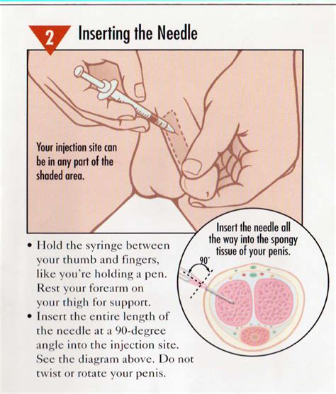 Needle Penis Porn Hub Sex