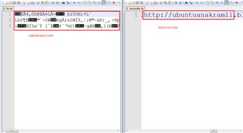 c encrypt and decrypt serialized object