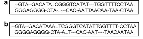 Parts Of The Optimal Alignment By The Conventional Algorithm And The