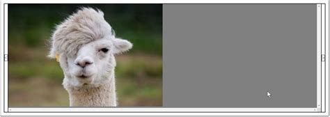 Html What Is Causing The Empty Area To The Right Of The Image On This