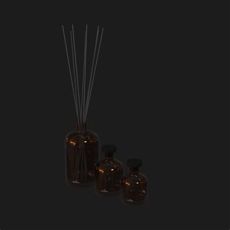 Reed Diffuser Premium 3d Model
