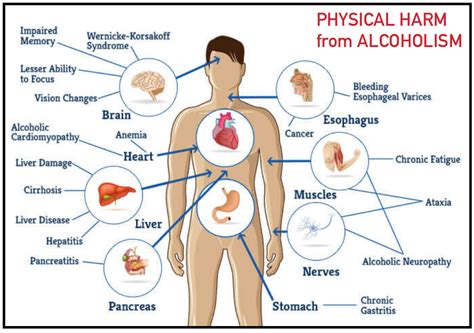 MBTI Introvert Vs Extrovert BRAINS Part 1 HEAL GROW For ACoAs