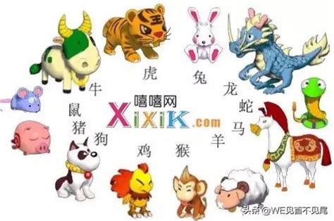 十二生肖的由來及生肖對照表 每日頭條