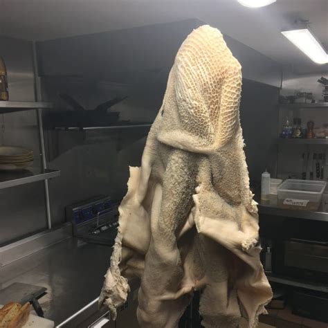 Gareth Eoin Storey Substack