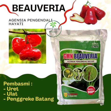 Jual Gmn Agen Hayati Beauveria Bassiana Anti Hama Pembasmi Hama Tanaman Kab Kebumen Kebun