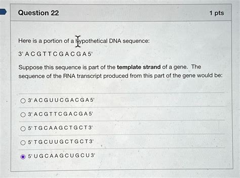 question 22 1 pts here is a portion of a hypothetical dna sequence 3