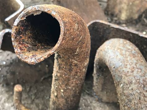 Rust Garden The Digital Naturalism Conference