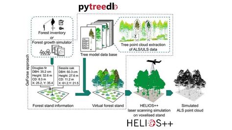 Pointclouds Pytreedb Helios Machinelearning Syssifoss Helios Bernhard Höfle