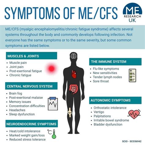 Me Cfs Symptoms Artofit