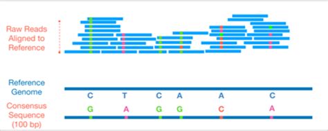 Consensus Genome Quality Checks Cz Id Help Center